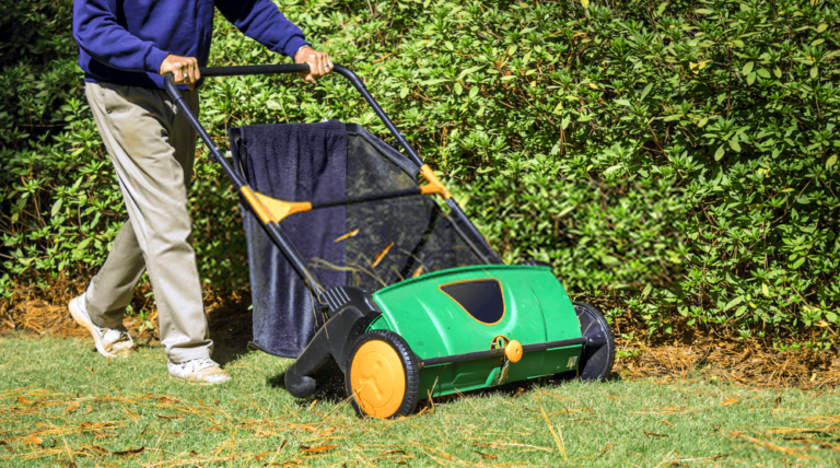10 Best Lawn Sweepers in 2020 (Reviews and Buying Guide)